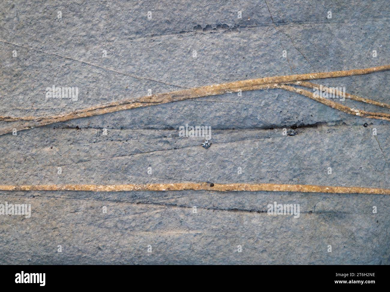 Patterns in the rock boulders on the beach taken at low tide near ...
