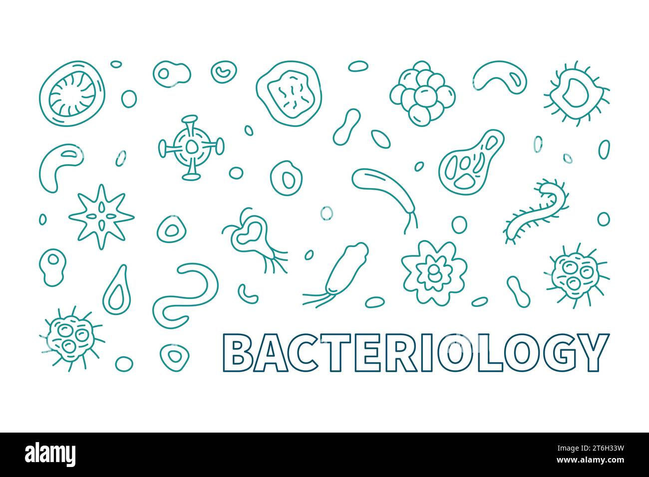 Bacteriology vector Microbiology Science concept outline horizontal ...