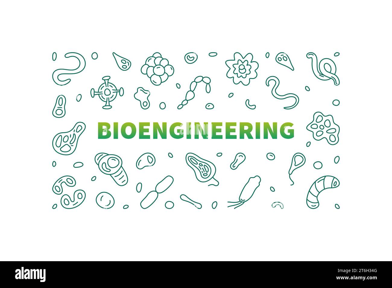 Bioengineering vector Science concept horizontal banner in line style ...