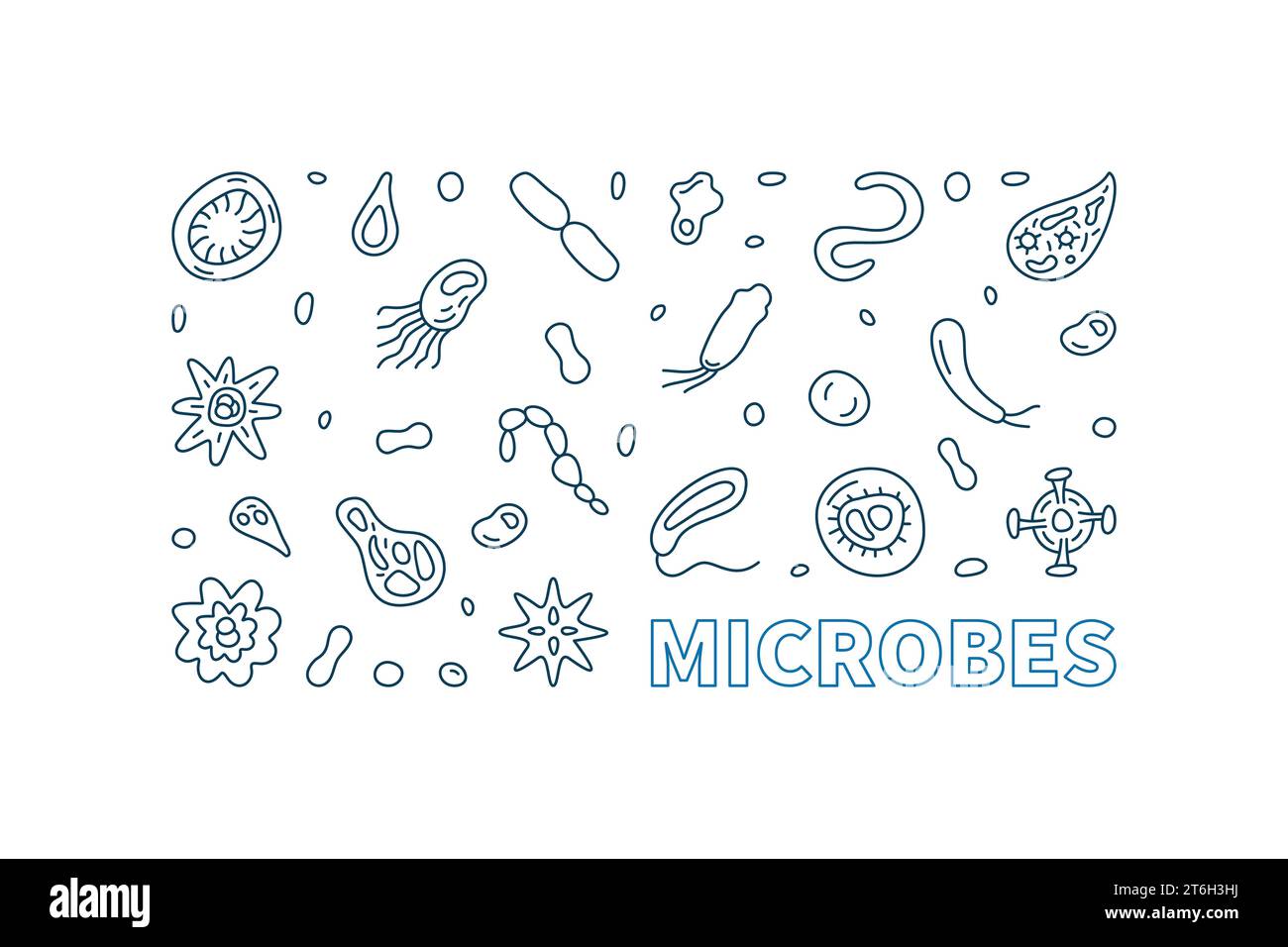 Microbes vector Micro Biology concept outline minimal horizontal banner ...