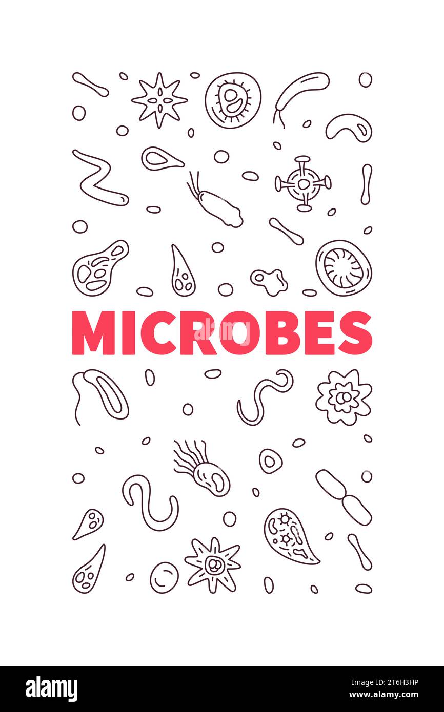 Microbes vector Science concept thin line minimal vertical banner or ...