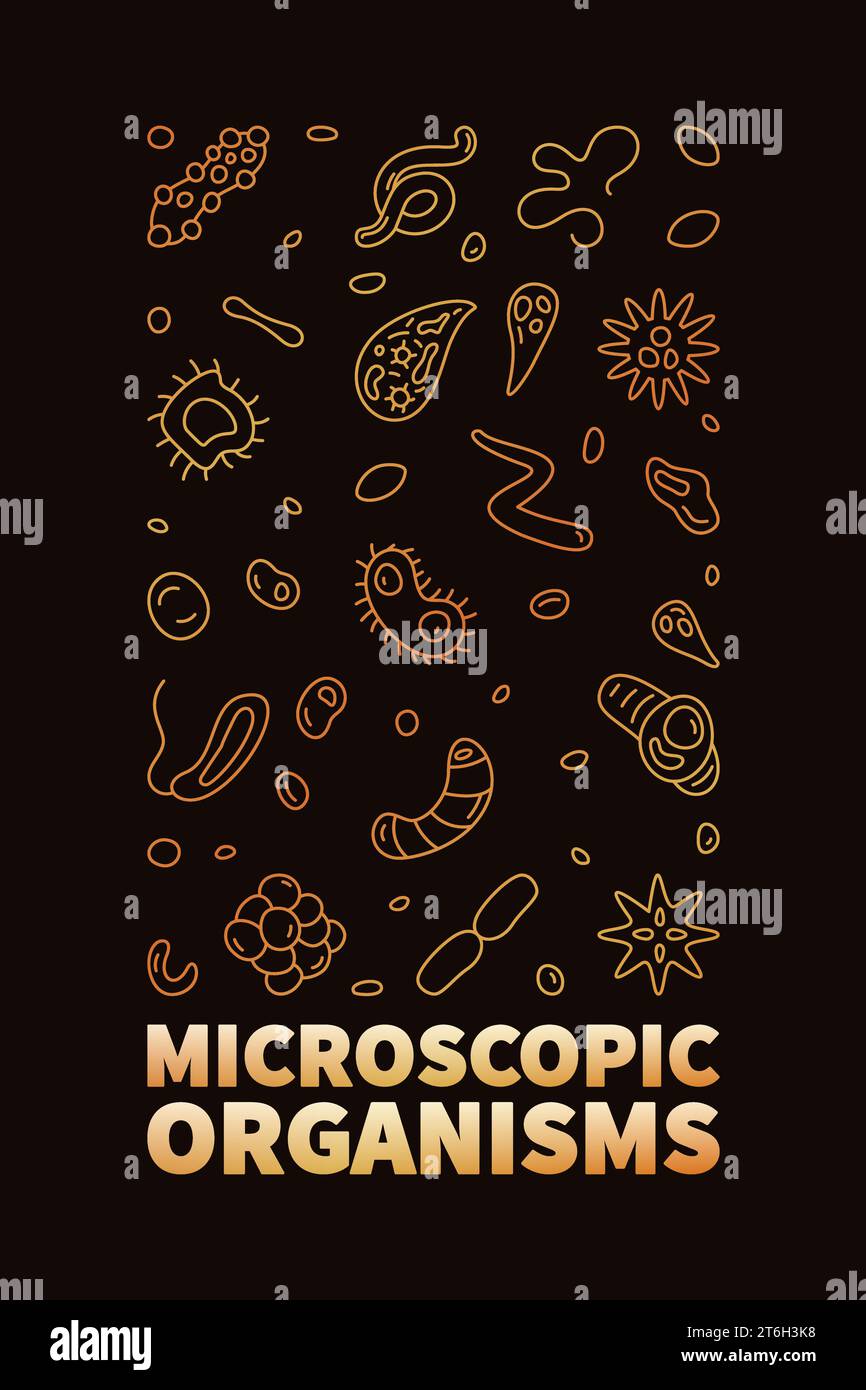 Microscopic Organisms vector Microbiology concept outline vertical ...