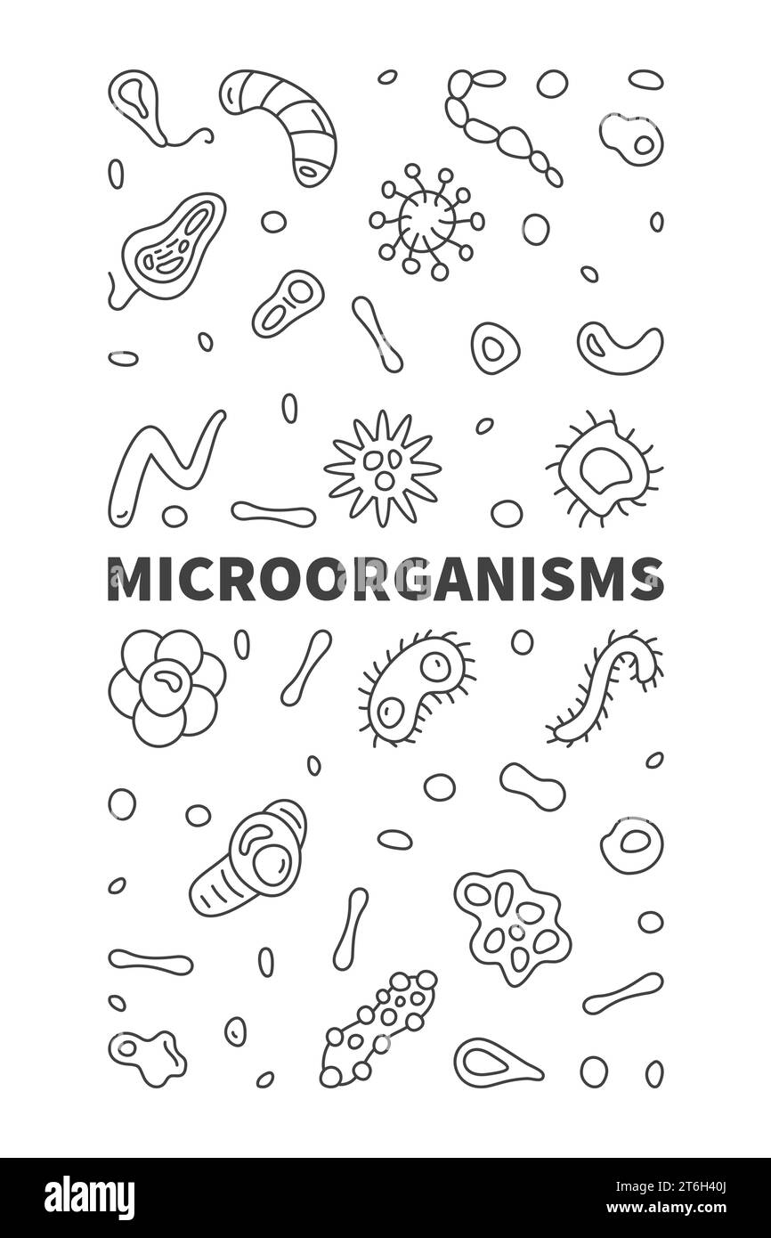 Microorganisms vector Micro Organisms concept line vertical banner or ...