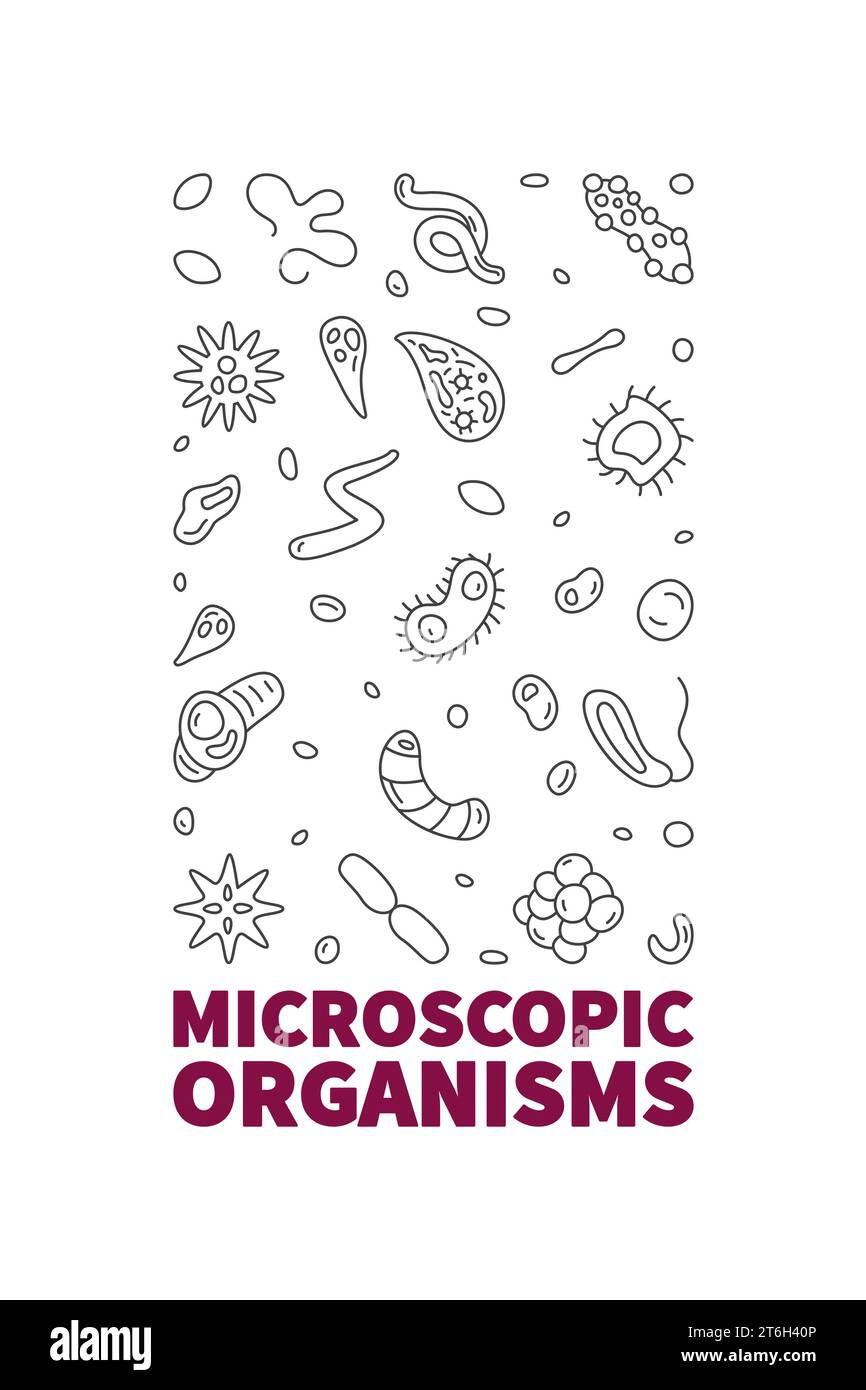 Microscopic Organisms vector Microbiology concept outline vertical ...