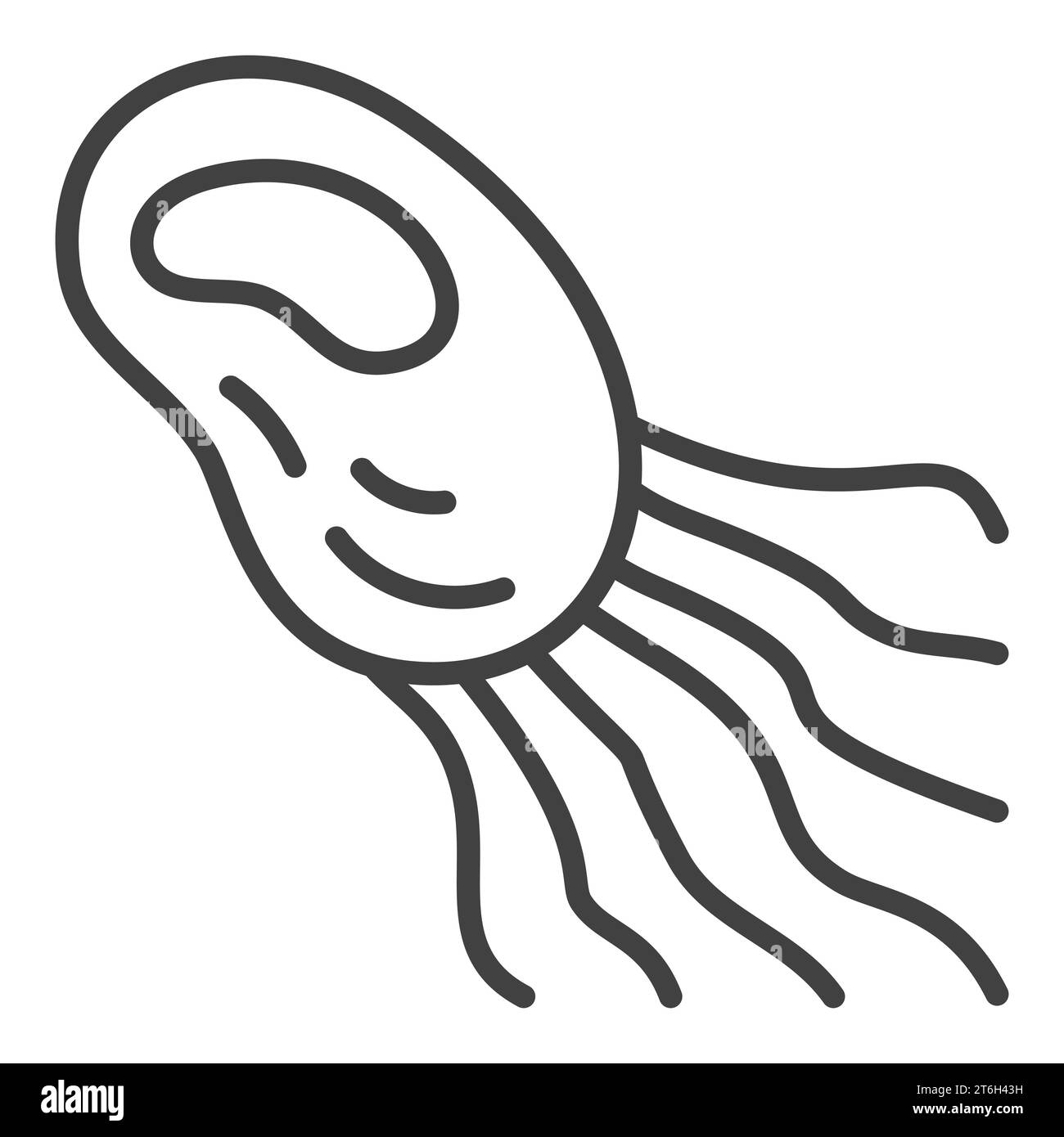 Prokaryote Microbe vector concept icon or symbol in outline style Stock ...