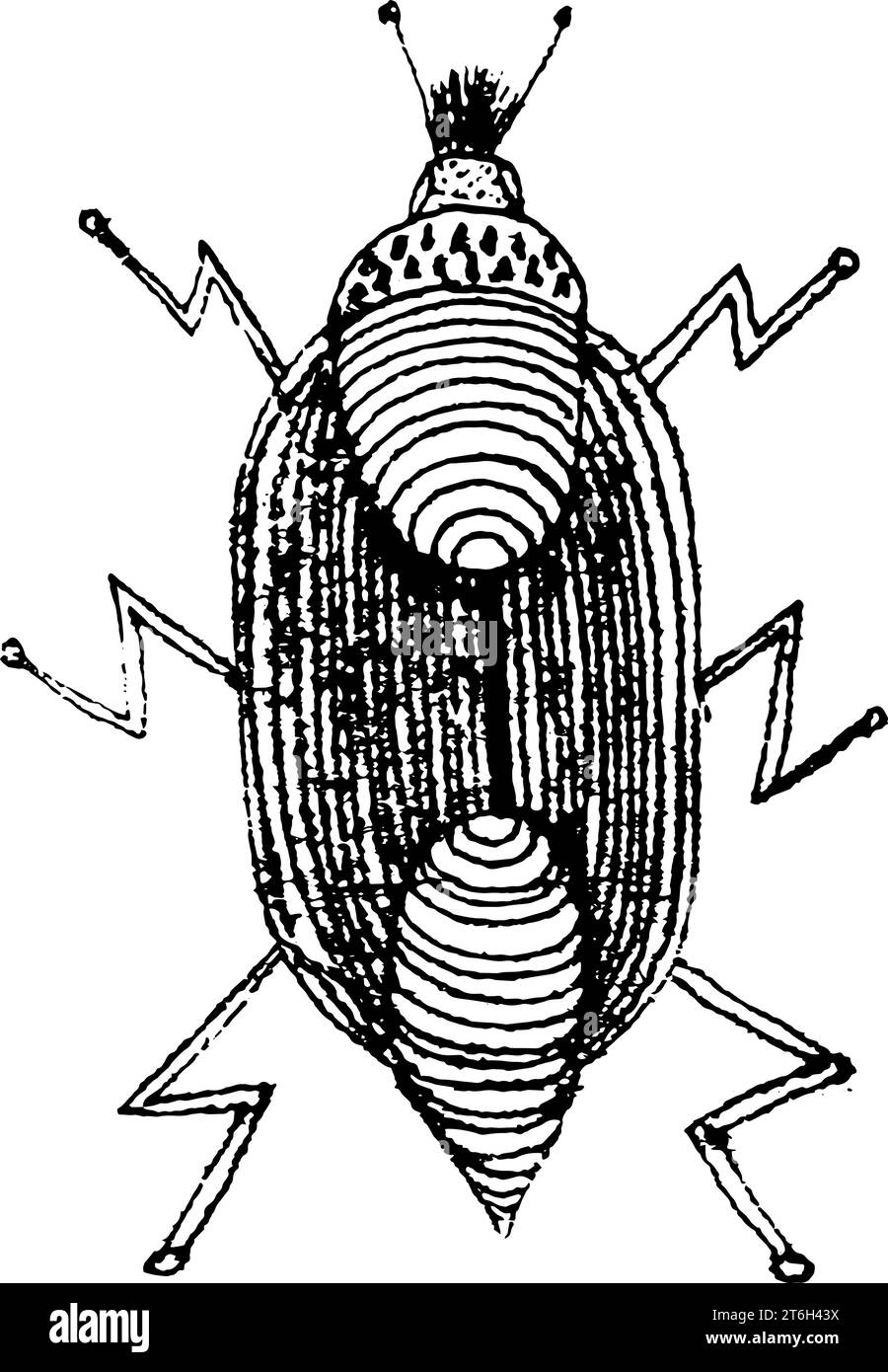 Bug. Vector hand drawn sketch illustration. Sloppy doodle grunge style ...