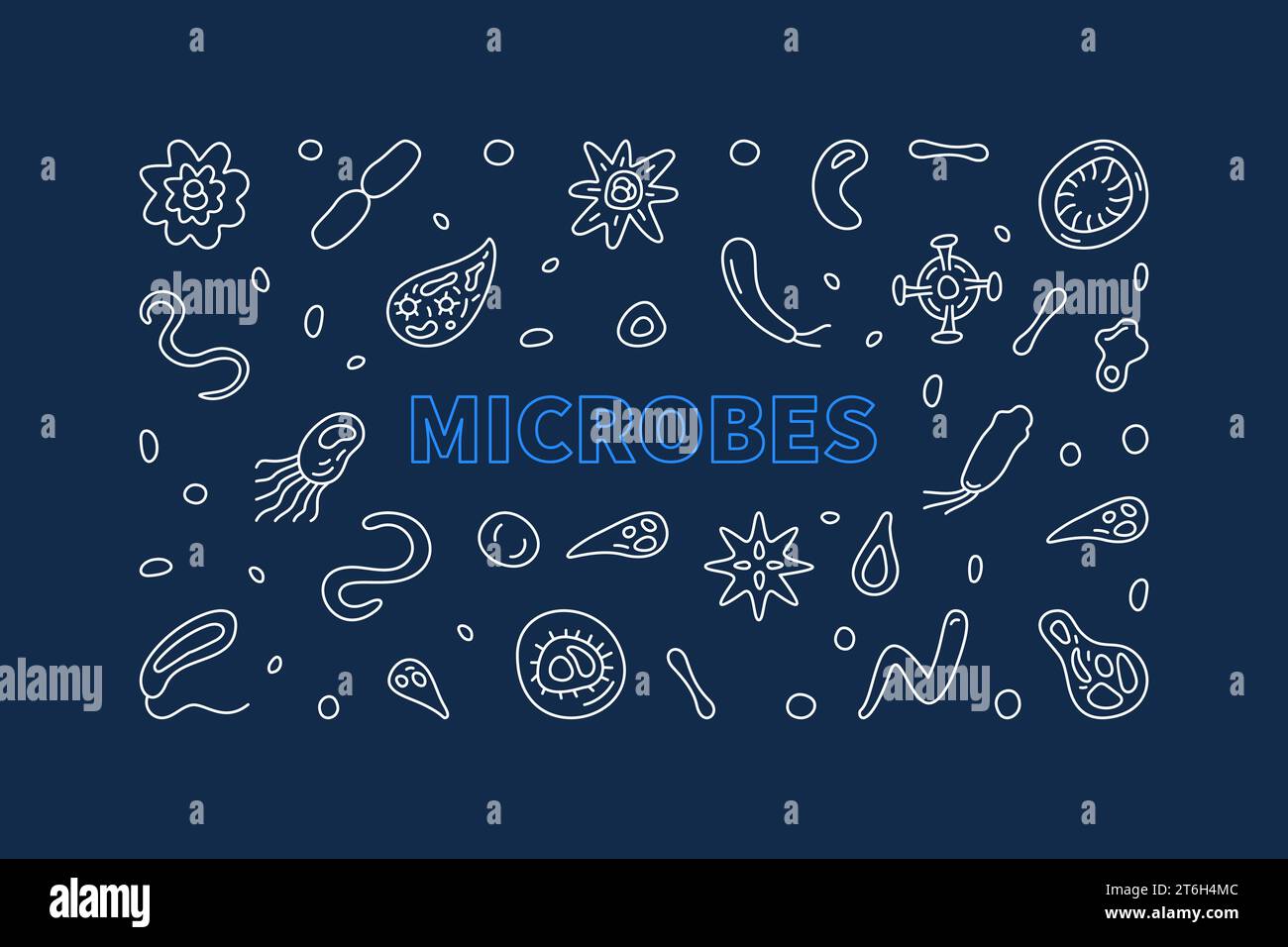 Microbes vector Science concept thin line horizontal blue banner or ...