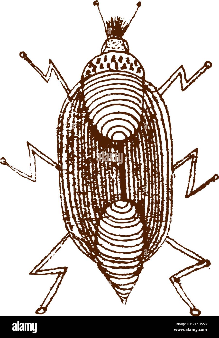 Bug. Vector hand drawn sketch illustration. Sloppy doodle grunge style ...