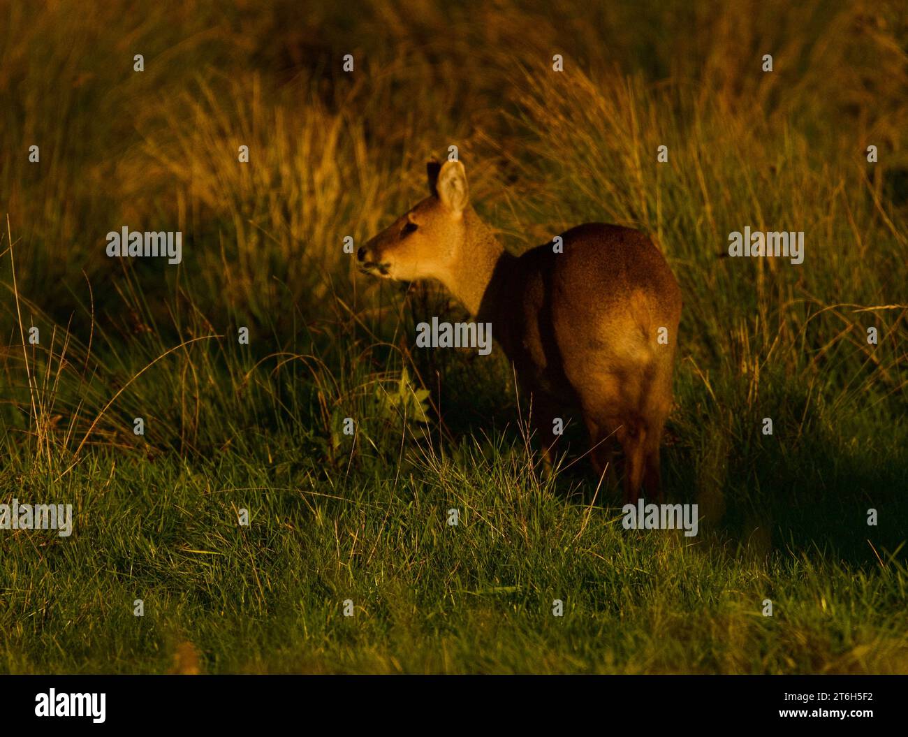 Saling boats park hi-res stock photography and images - Alamy