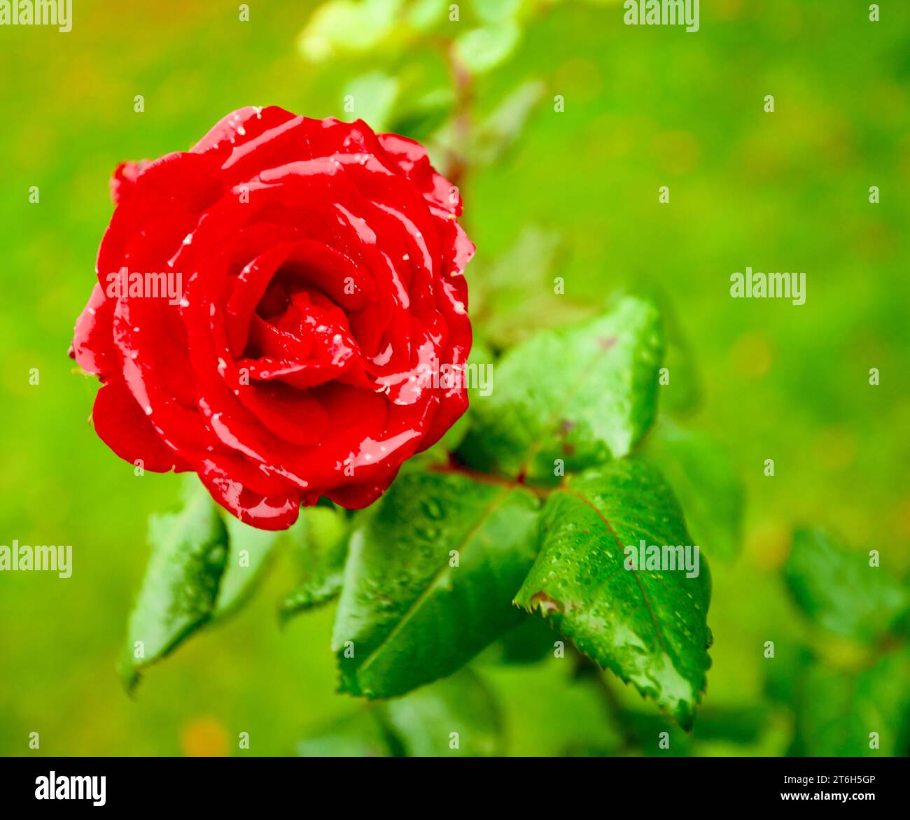 Photography By James Allen Stock Photo - Alamy
