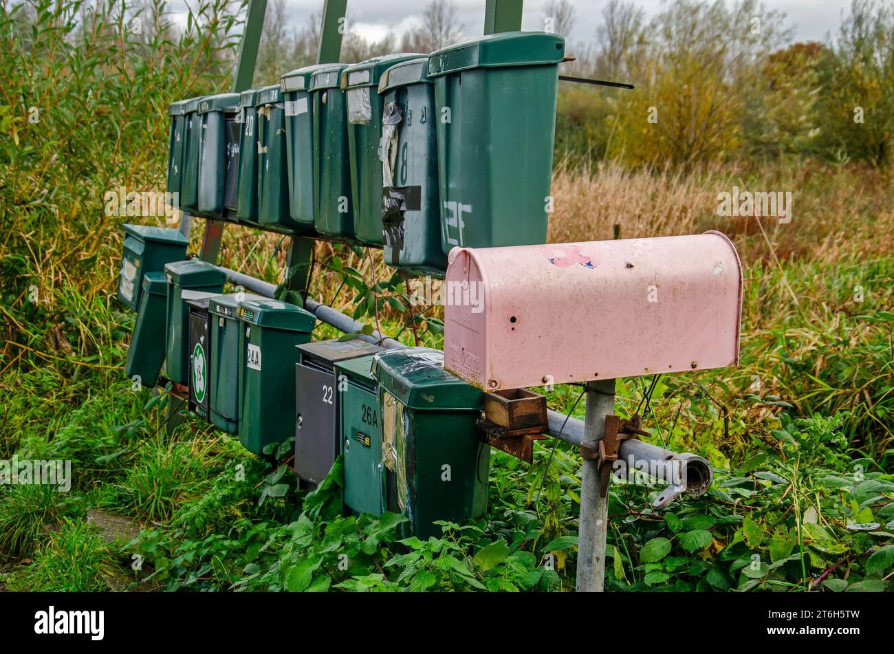 Den Bosch, The Netherlands, November 5, 2023: array of standard green ...