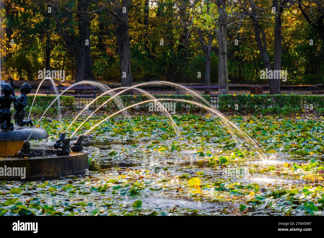 Beautiful fountain in lake at the park. Splashing streams Stock Photo ...