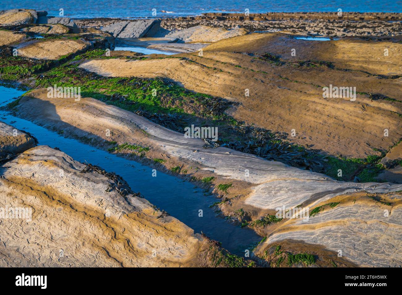 Limestone pavements and boulders exposed at low tide on Somerset Coast ...
