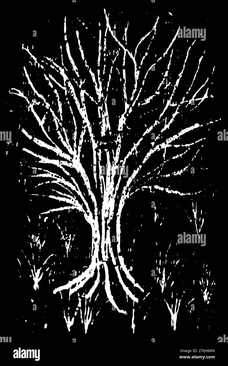 Tree. Vector hand drawn sketch illustration. Sloppy doodle grunge style ...