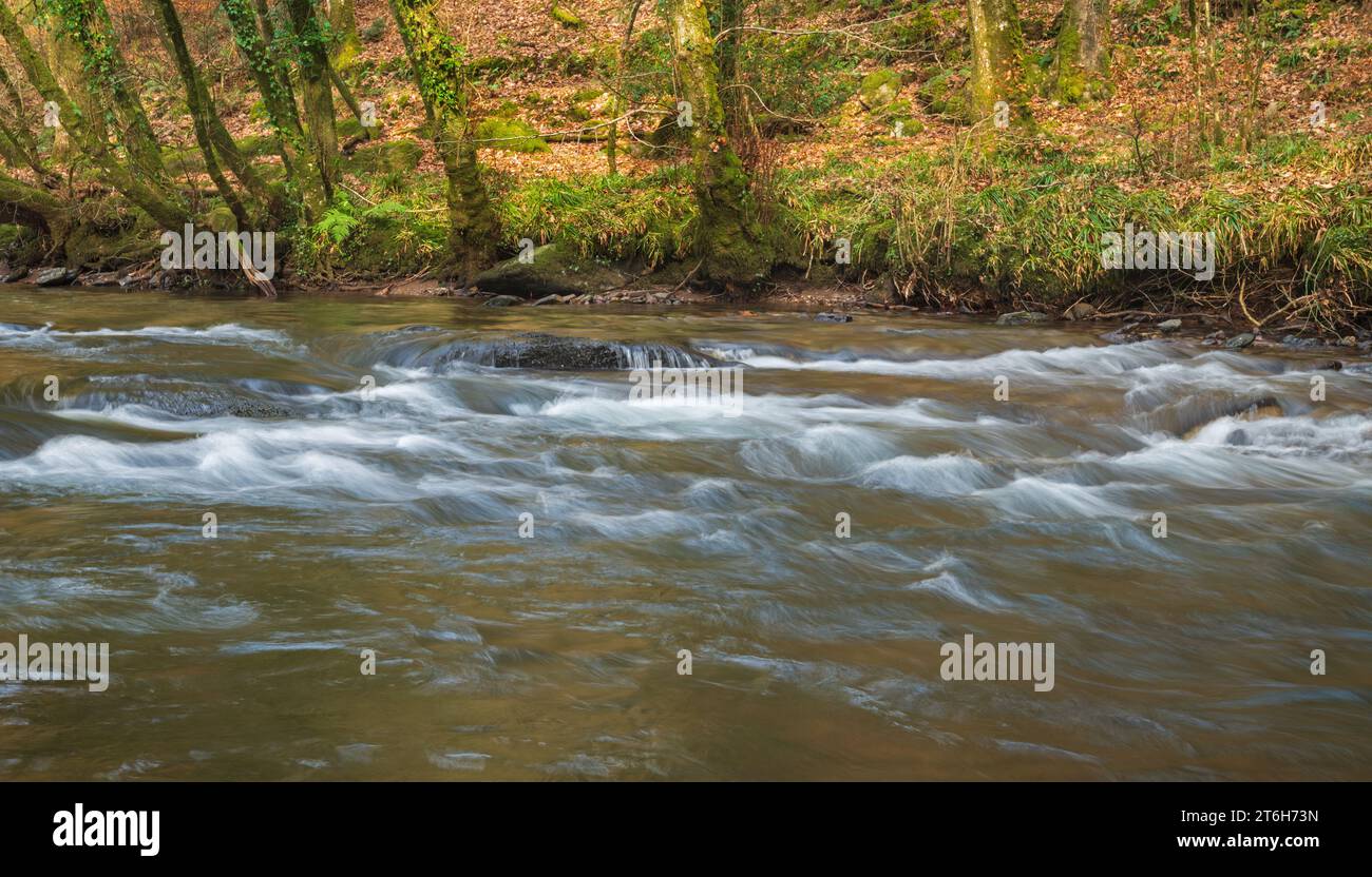 Autumnal view of the River Barle cascading over rocks near Dulverton in ...