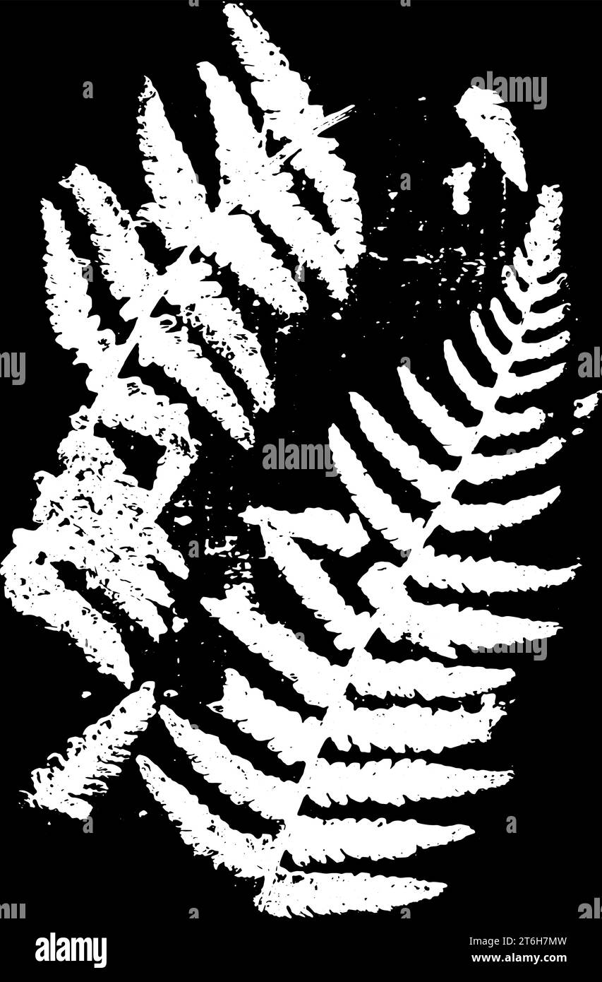Fern. Vector hand drawn sketch illustration. Sloppy doodle grunge style ...