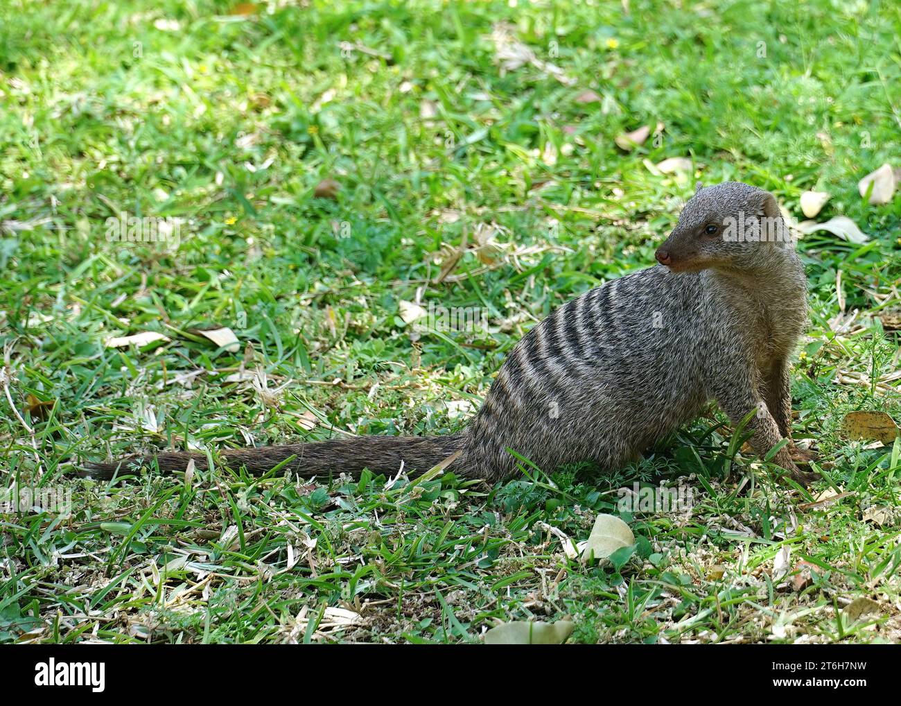 Lon 25 84647000 hi-res stock photography and images - Alamy