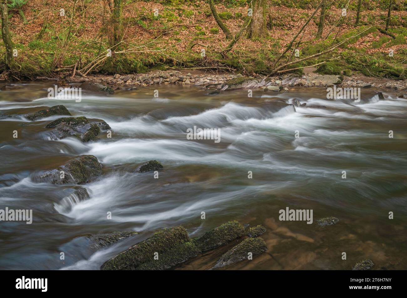 Autumnal view of the River Barle cascading over rocks near Dulverton in ...