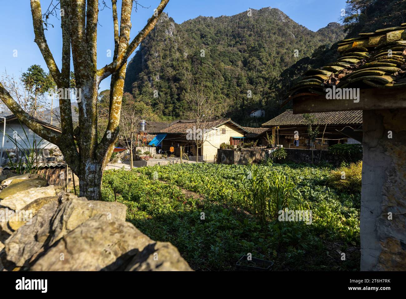 Villages and Farms at the Ha Giang Loop in North Vietnam Stock Photo ...