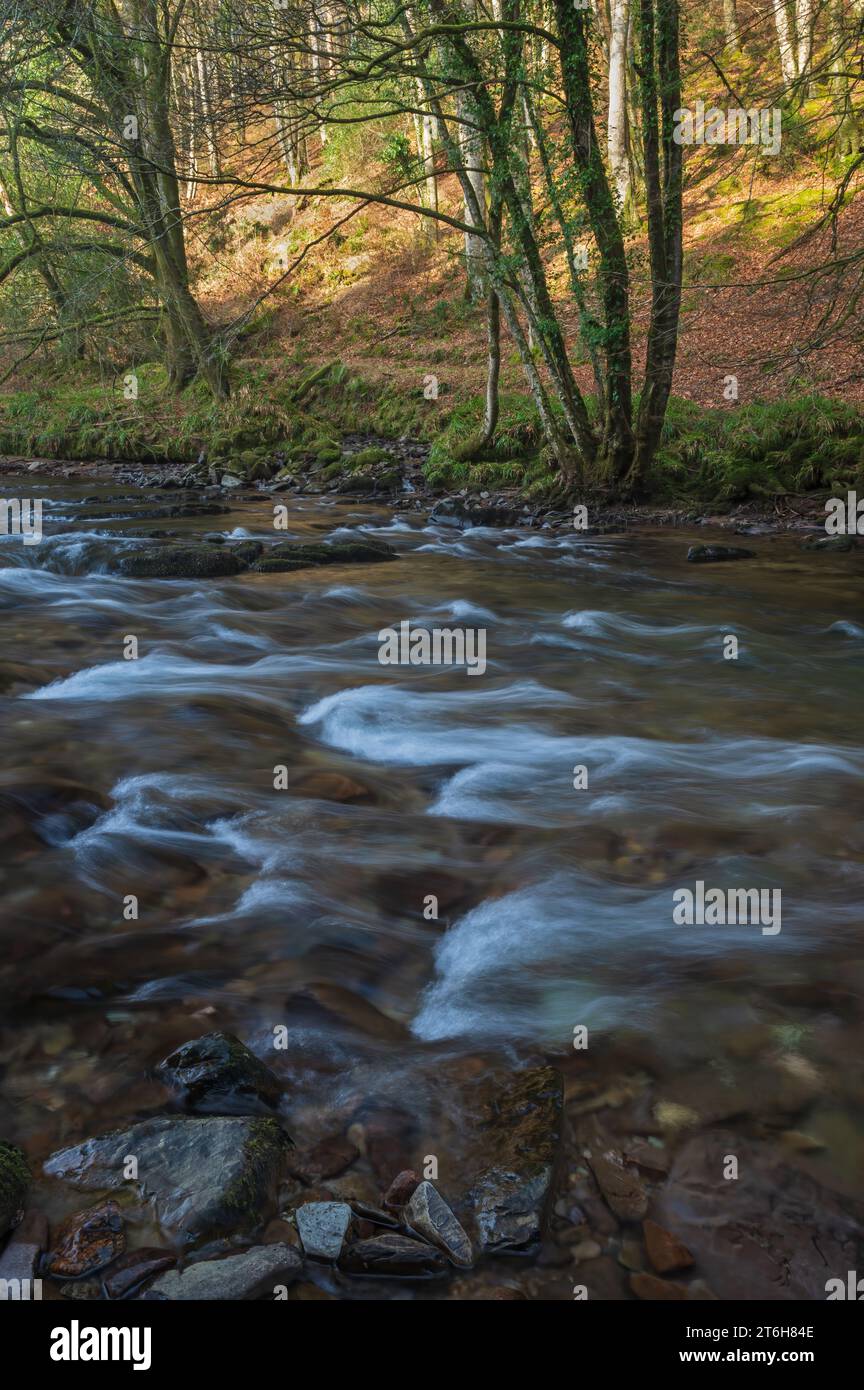Autumnal view of the River Barle cascading over rocks near Dulverton in ...