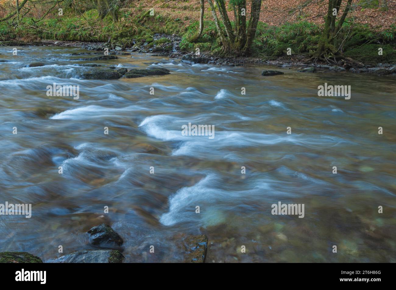 Autumnal view of the River Barle cascading over rocks near Dulverton in ...