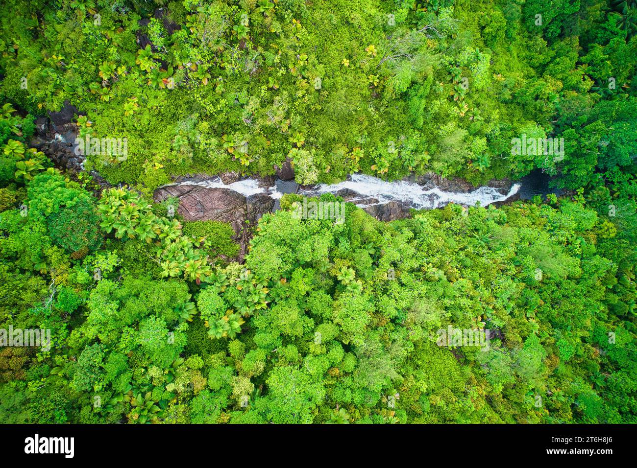 Bird eye drone photography of Sauzier waterfal, surrounded by lush ...