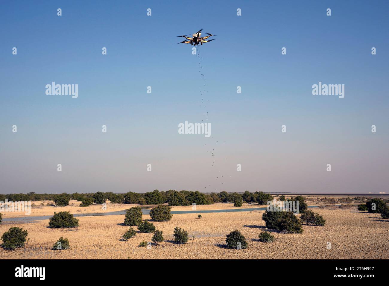A drone pours mangrove seeds over a lagoon at Al Nouf area southwest of ...