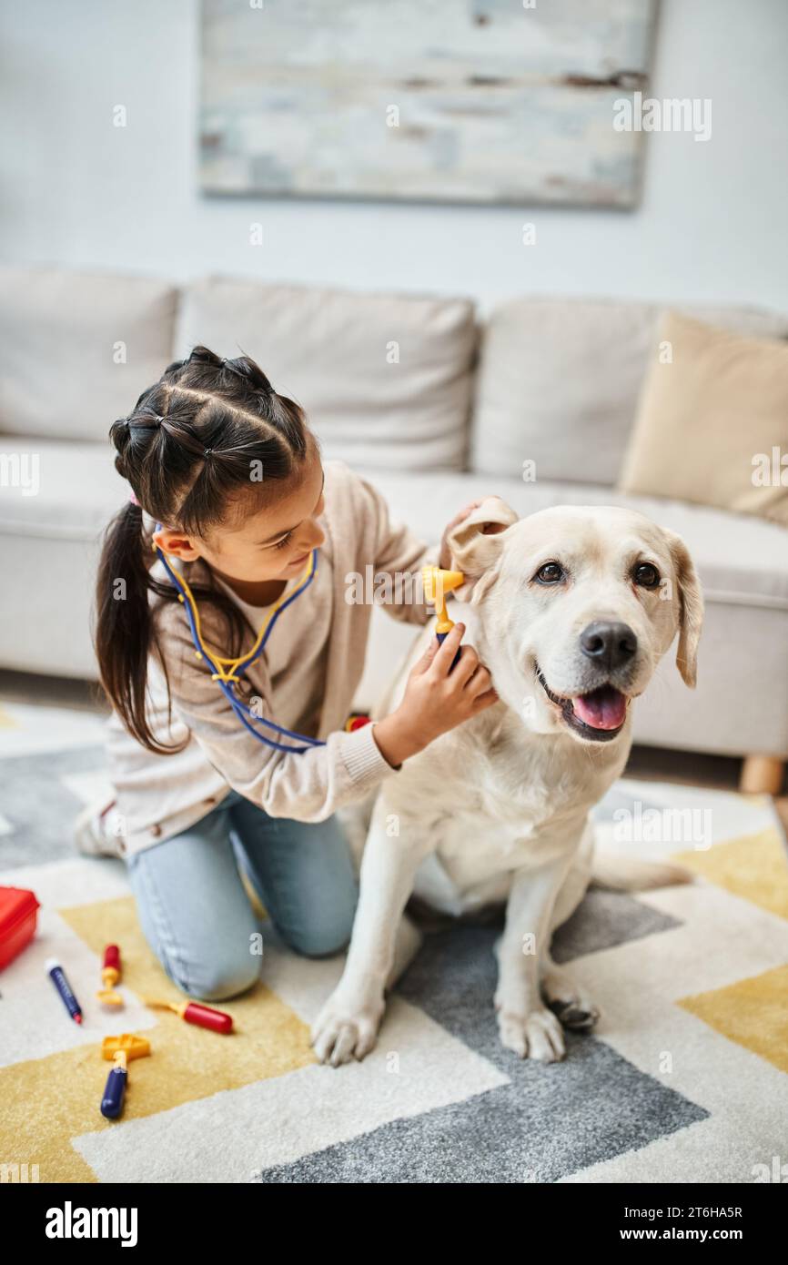 cute girl playing doctor with labrador in modern living room, toy first ...