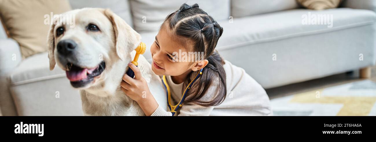 little girl in casual attire playing doctor with labrador in modern ...