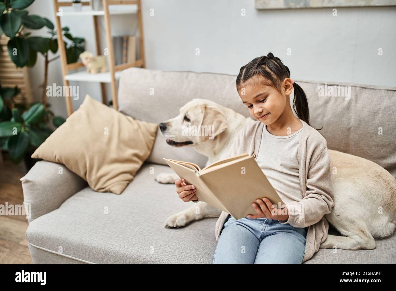 happy kid sitting on sofa and reading book near labrador in modern ...