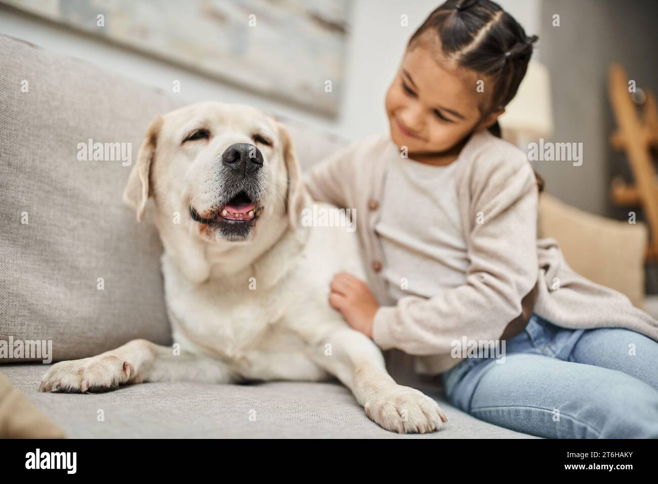 happy girl sitting on sofa and cuddling cute labrador in modern living ...