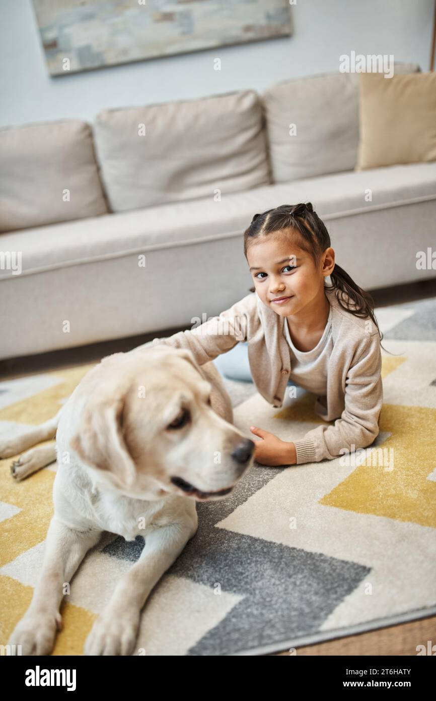 cute elementary age girl in casual attire lying on carpet with labrador ...