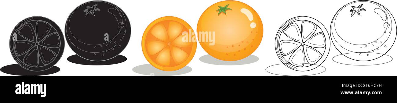 Orange Fruit Design Illustration Vector Stock Vector Image & Art - Alamy