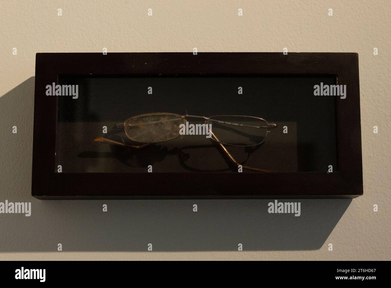 Alfonso cano FARC-EP guerrilla leader glasses portrait and criminal ...