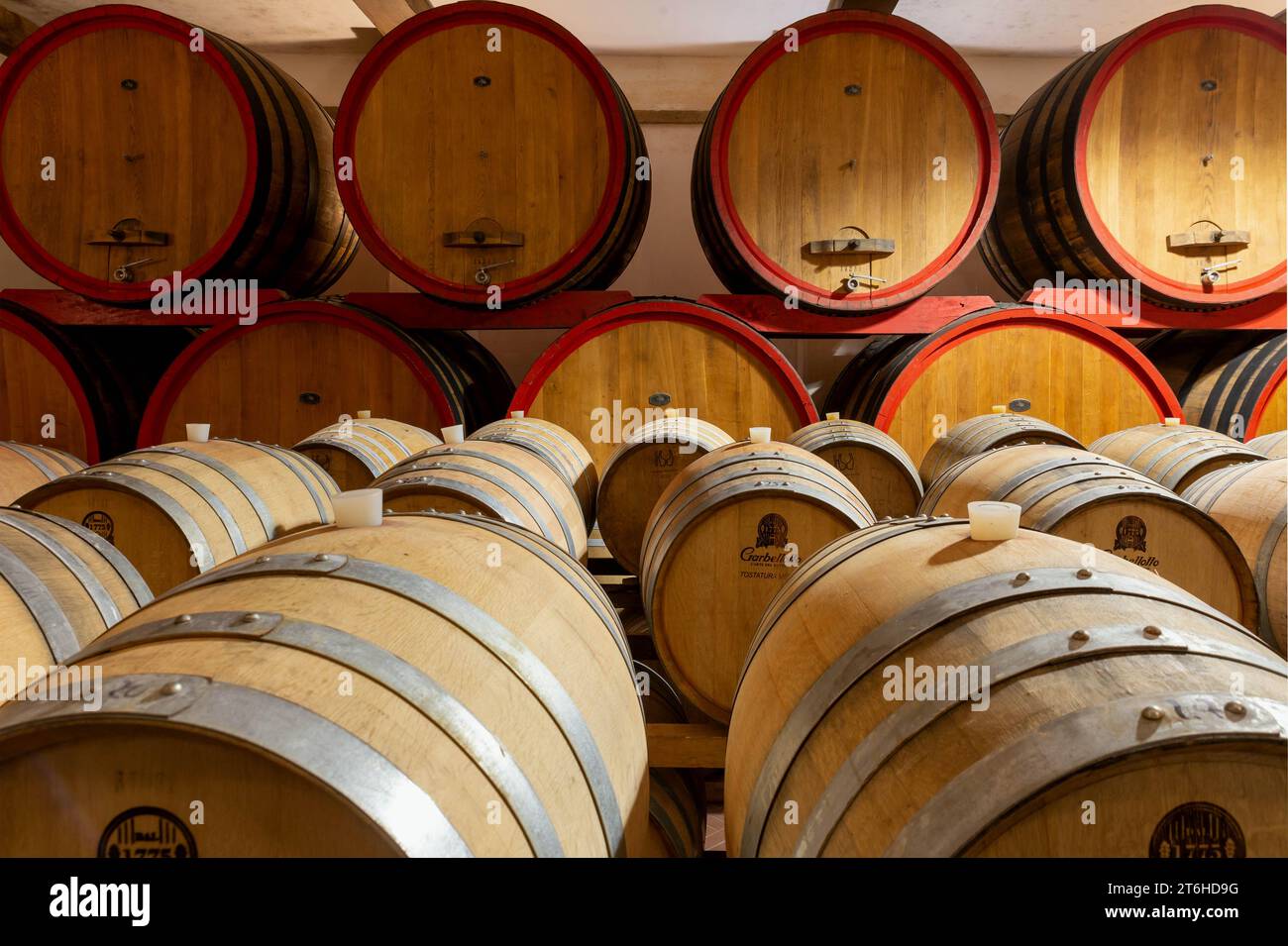 Italy, Campania, Caserta, Cellole, Azienda Vitivinicola Villa Matilde ...