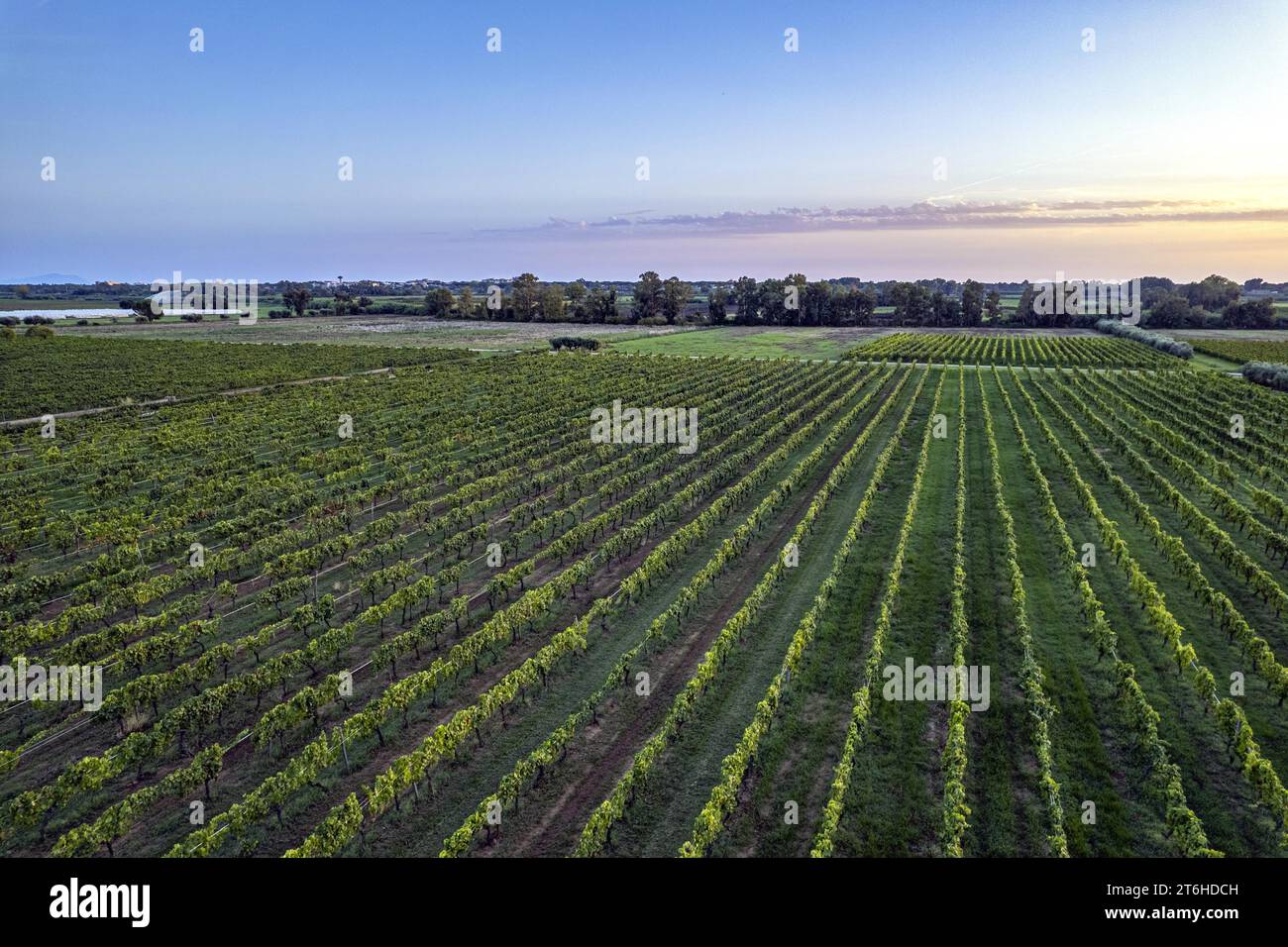 Villa matilde avallone hi-res stock photography and images - Alamy