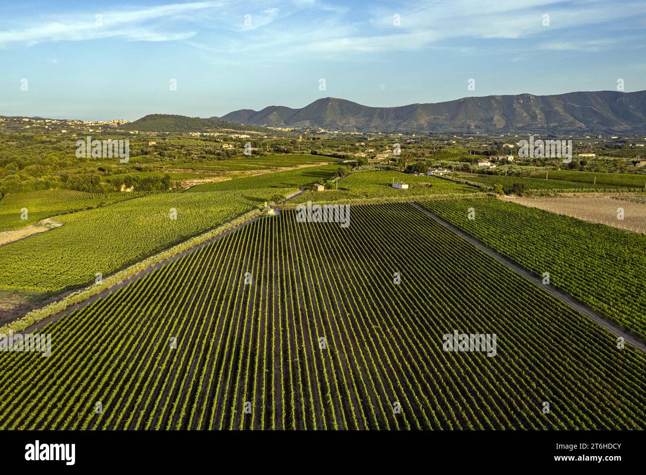 Italy, Campania, Caserta, Cellole, Azienda Vitivinicola Villa Matilde ...
