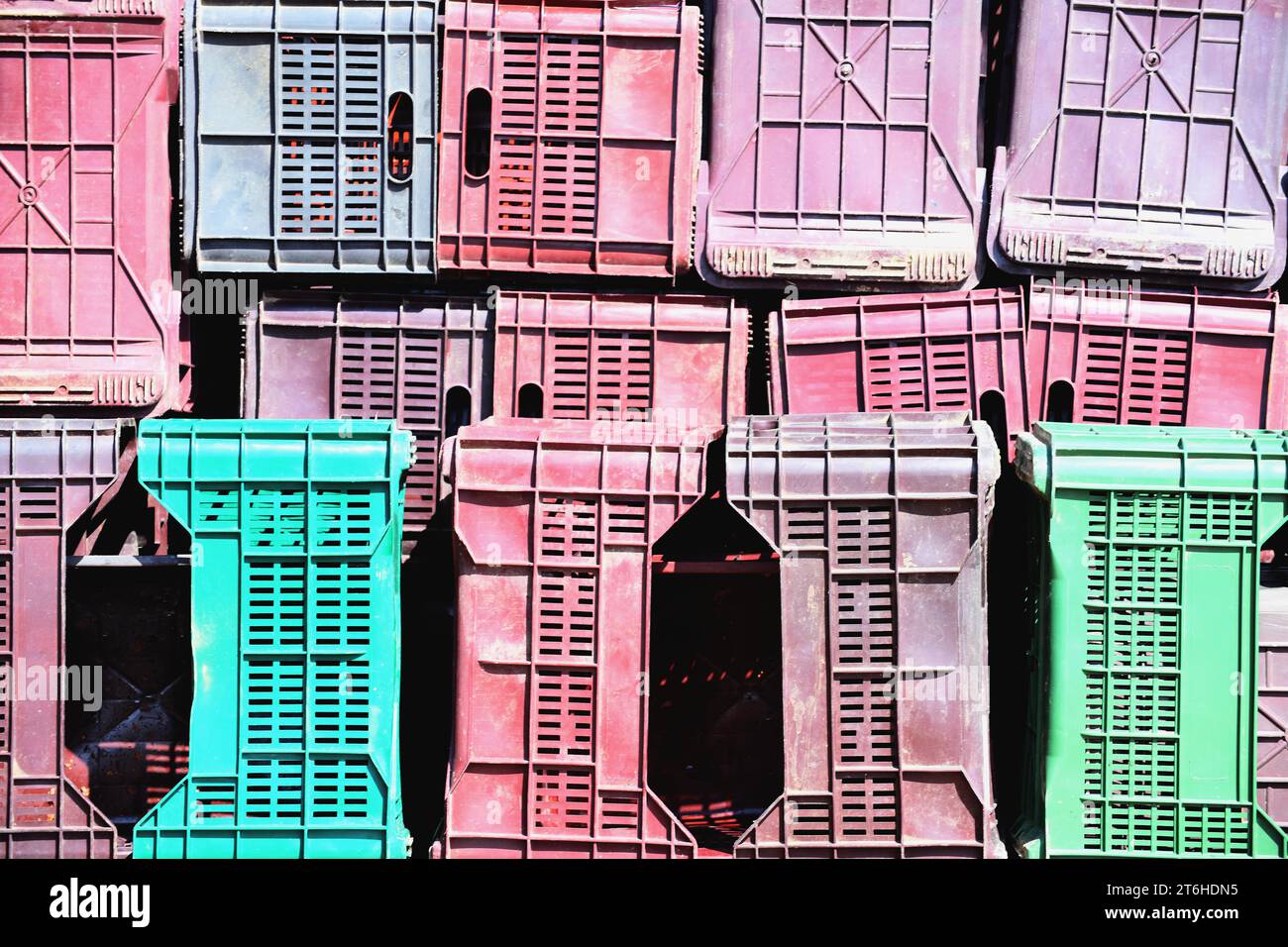 Italy, Campania, Caserta, Cellole, Azienda Vitivinicola Villa Matilde ...