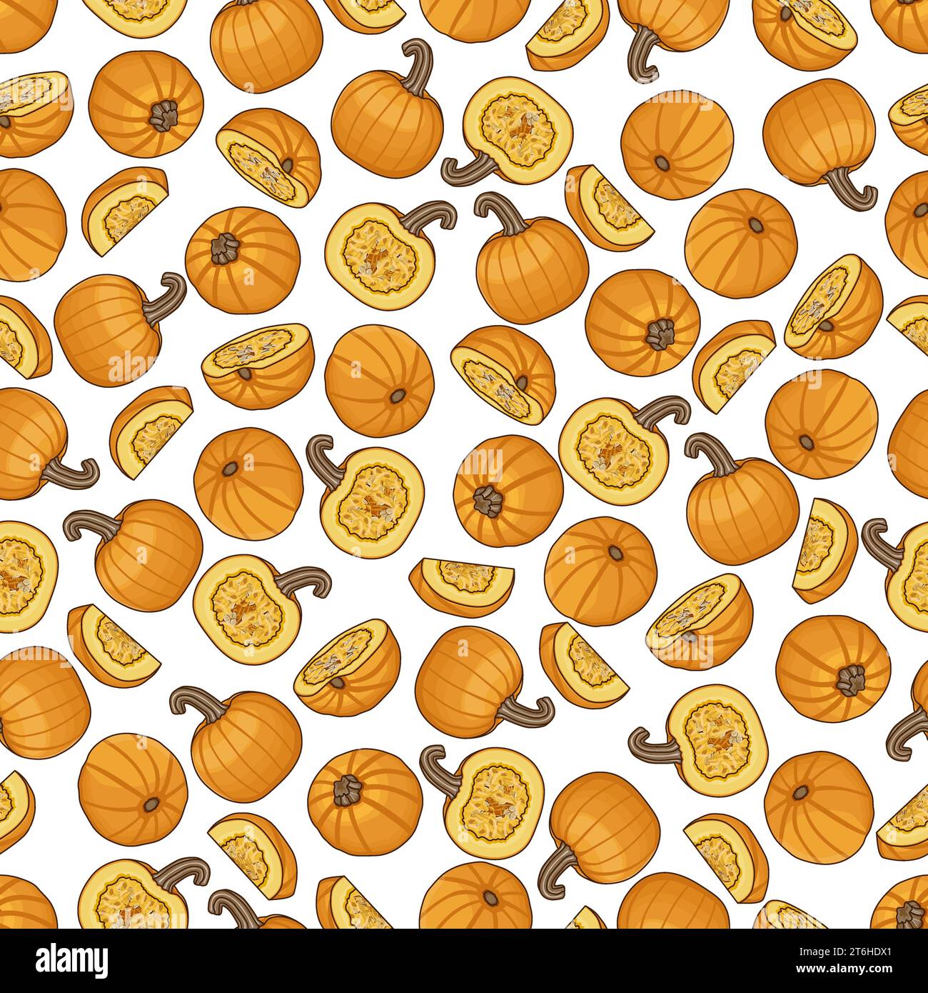 Seamless pattern with Sugar Pie Pumpkins. Winter squash. Cucurbita pepo ...