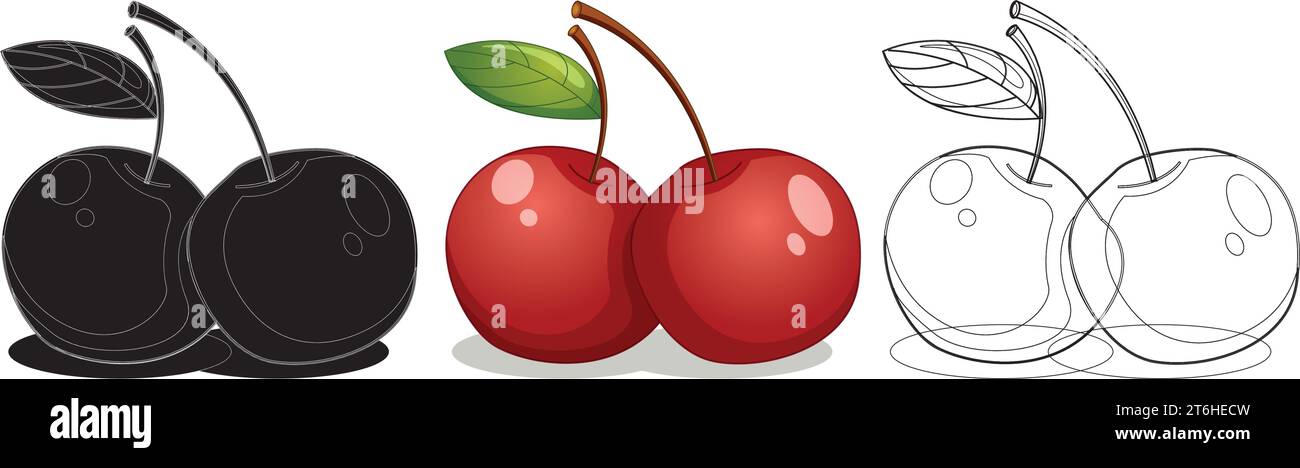 Cherries Fruit Design Illustration Vector Stock Vector Image & Art - Alamy