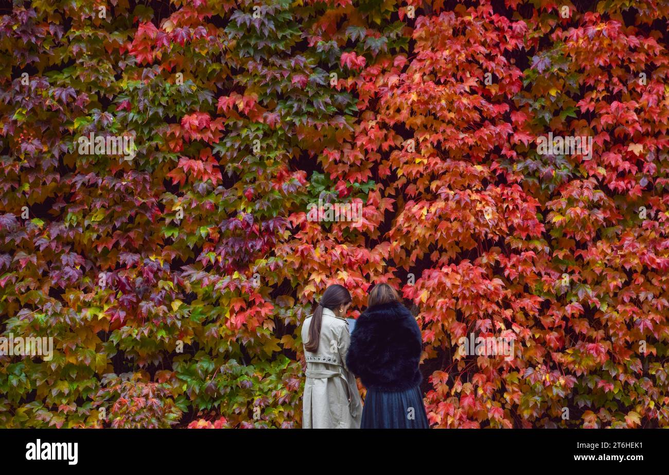 London, UK. 10th November 2023. A pair of women take photos of the ...