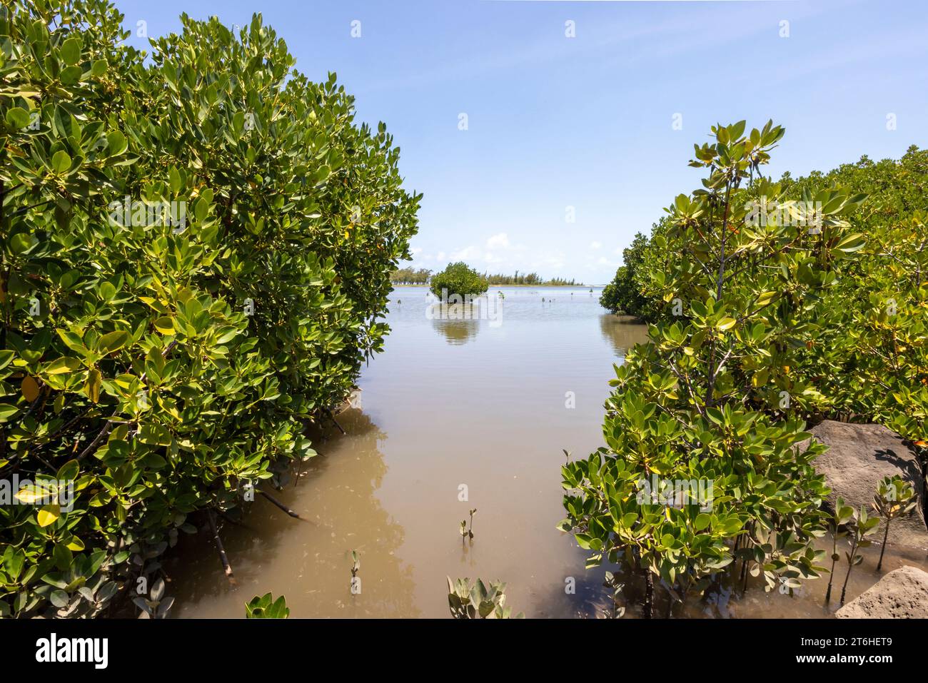 Creating biodiversity hi-res stock photography and images - Alamy