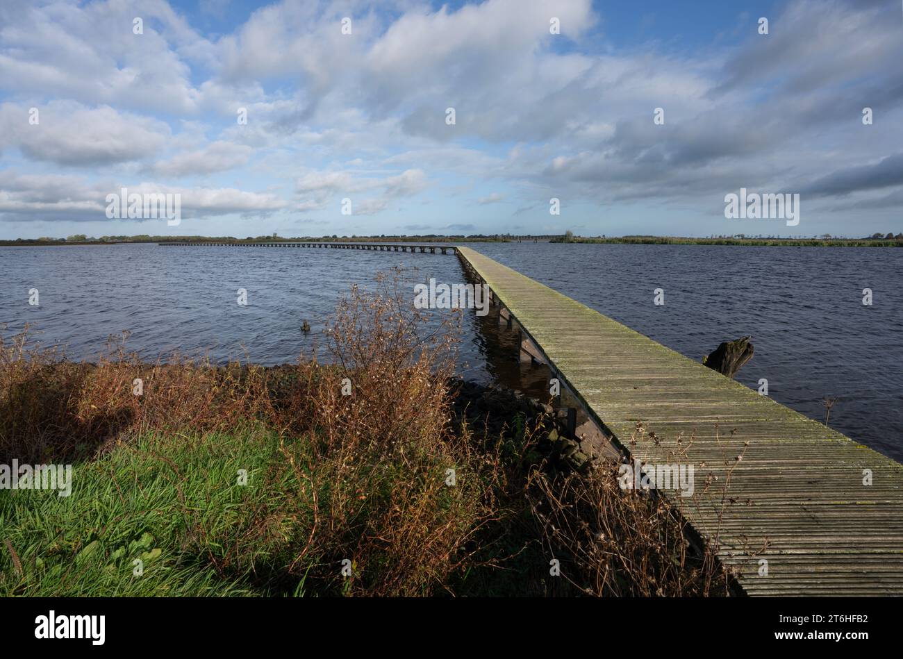 Old and new nature come together in the Roegwold Nature Reserve Stock ...