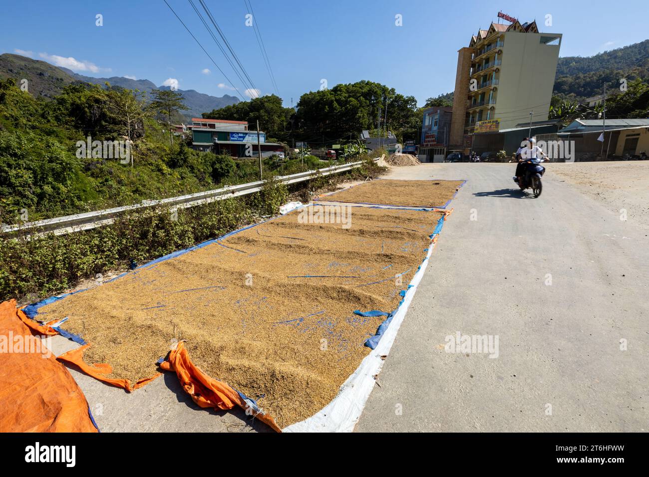 Rice paddy vietnam hi-res stock photography and images - Alamy