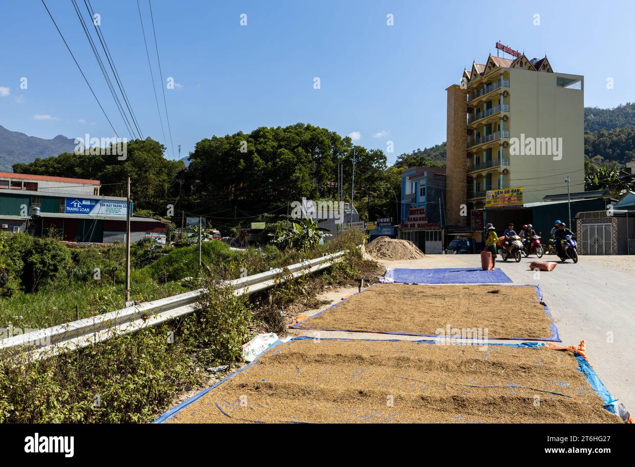 Rice paddy vietnam hi-res stock photography and images - Alamy