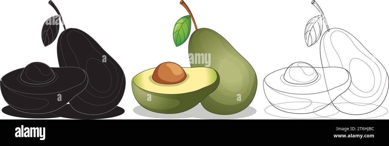 Avocado Fruit Design Illustration Vector Stock Vector Image Art Alamy