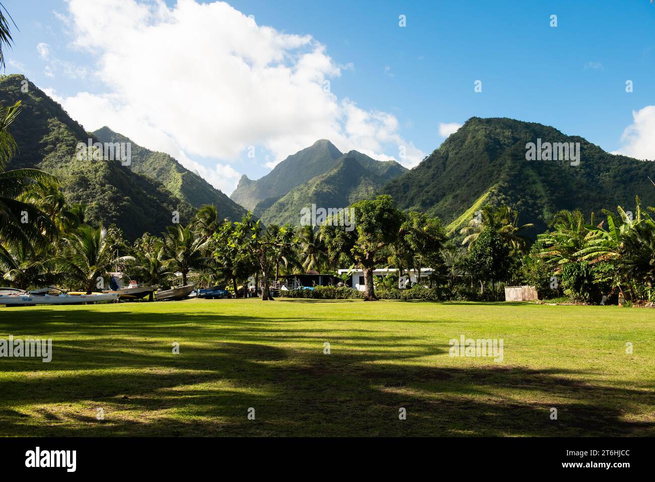 Palm trees at Teahupo'o village Stock Photo - Alamy