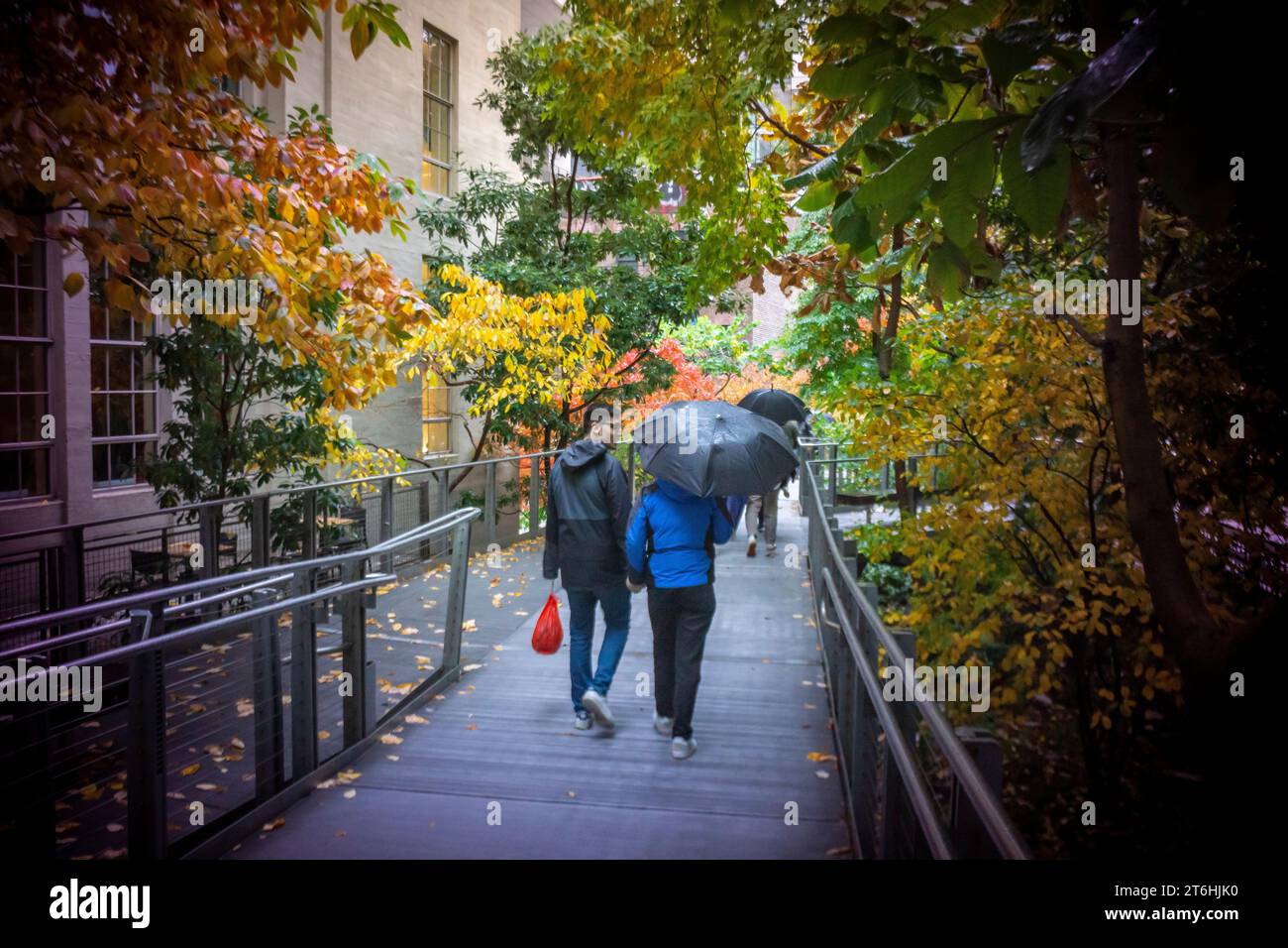 High Line Park in Autumn in Chelsea in New York on Sunday, October 29 ...