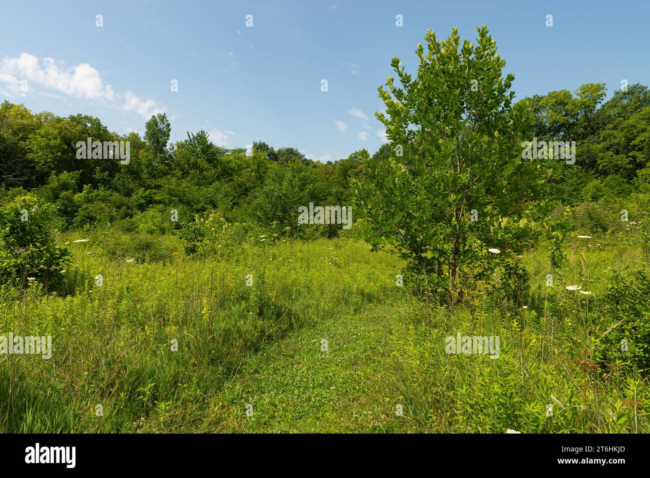 Hiking trail through the Baker Woods Forest Preserve in Minooka ...