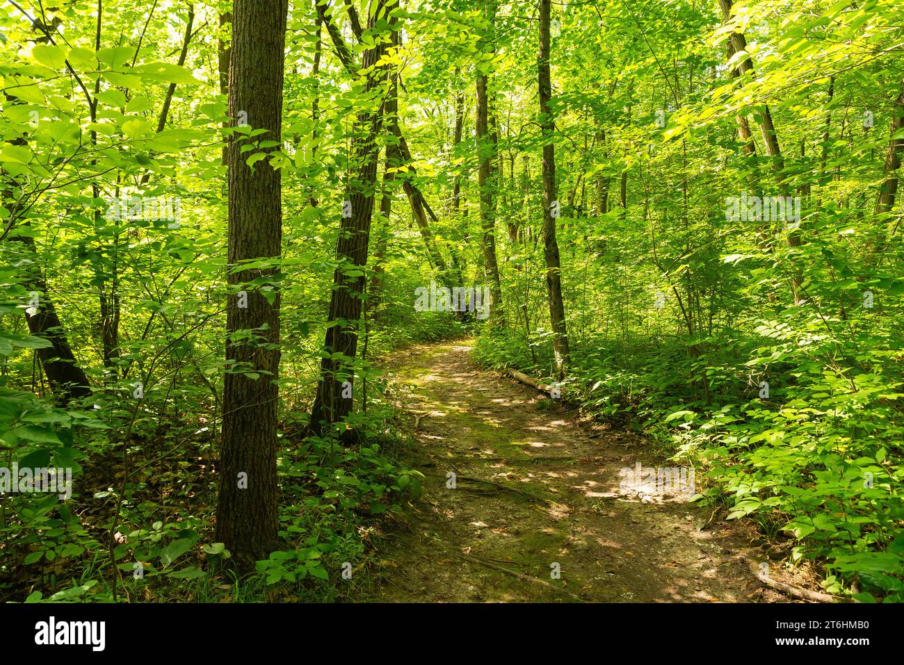 Hiking trail through the Baker Woods Forest Preserve in Minooka ...